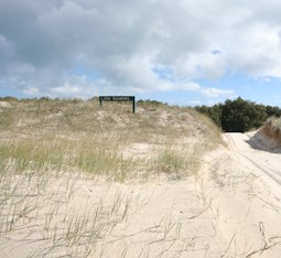 Photographer's Guide | Tangalooma Island Resort Blog & Articles