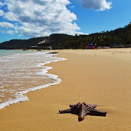 Tangalooma Island Resort Photo Gallery | Queensland Holidays