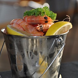 Tangalooma Island Resort Photo Gallery | Queensland Holidays