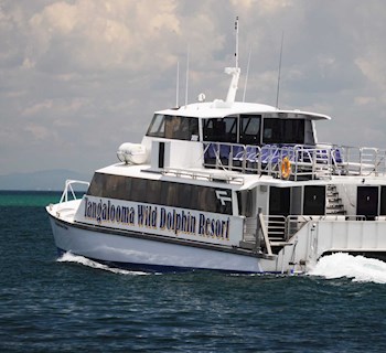 History of the Tangalooma Flyer | Tangalooma Island Resort Blog & Articles