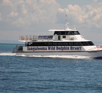 History of the Tangalooma Flyer | Tangalooma Island Resort Blog & Articles