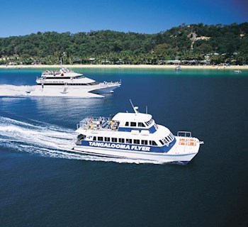 History of the Tangalooma Flyer | Tangalooma Island Resort Blog & Articles