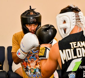 World Champion Boxers at Tangalooma | Tangalooma Island Resort Blog ...