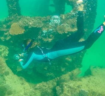 Tangalooma Wrecks | Moreton Island near Tangalooma Resort