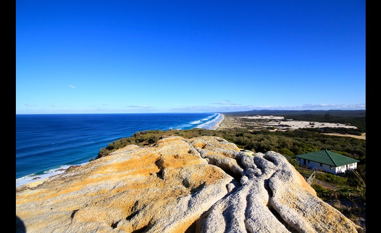 Local & Native Wildlife - Tangalooma Resort, Moreton Island