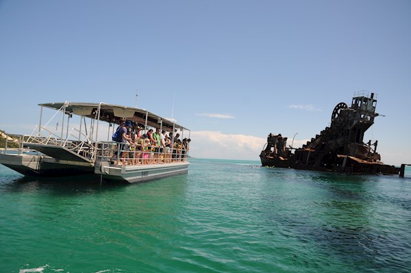 Tangalooma Wrecks Sightseeing & Fish Feeding Tours QLD