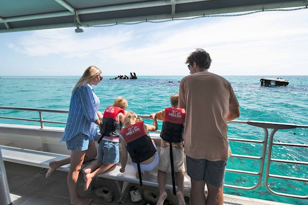 Tangalooma Wrecks Sightseeing & Fish Feeding Tours QLD
