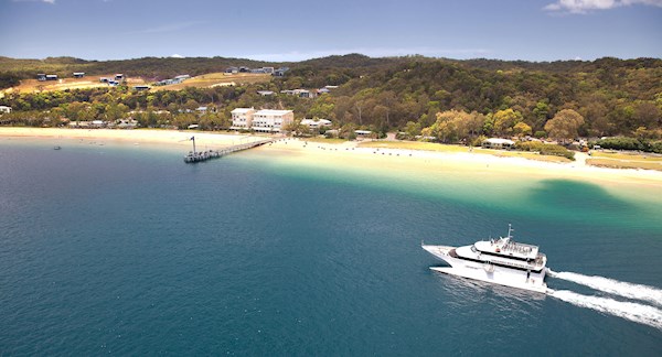 10 types of Tangalooma day trips from Brisbane