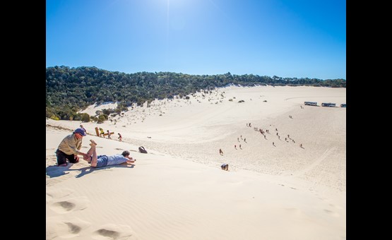 Tangalooma Desert Safari Cruises | Brisbane Day Trips