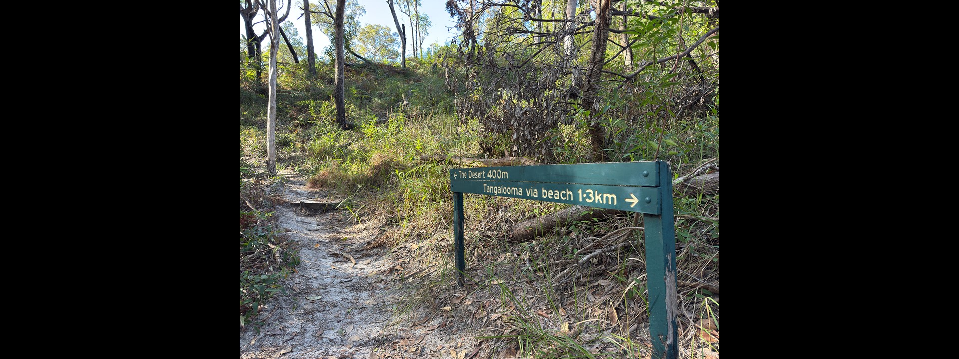 Walking from Tangalooma to the Desert (Desert Walking Track)