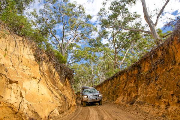 Middle Road | Moreton Island