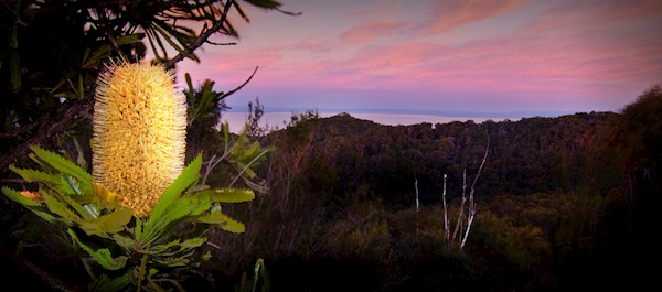 Mount Tempest | Moreton Island near Tangalooma Resort QLD