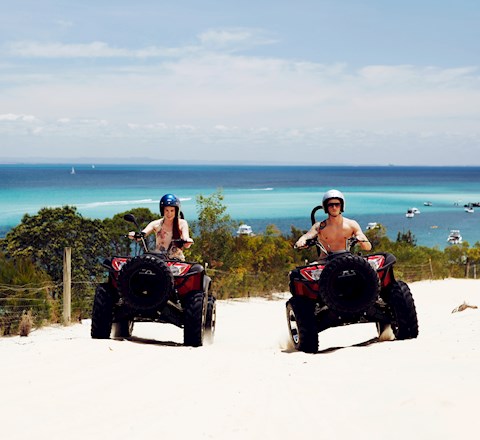 Things to do at Tangalooma | Moreton Island Activities & Tours