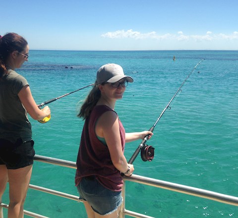 General Information Tangalooma Island Resort | Moreton Island