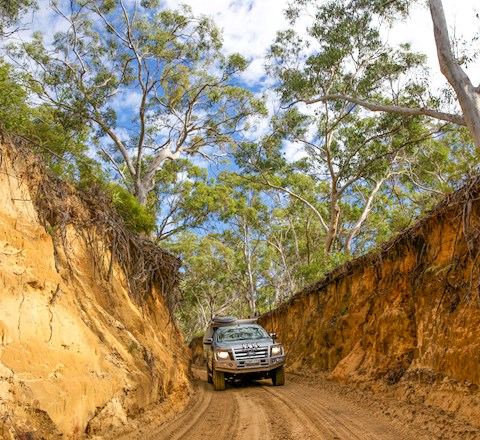 Guide to 4WD Driving on Moreton Island (Mulgumpin) | Self Drive