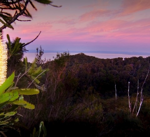 Mount Tempest | Moreton Island near Tangalooma Resort QLD