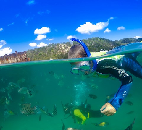 What's On Family Friendly Guide | Tangalooma Moreton Island Activities