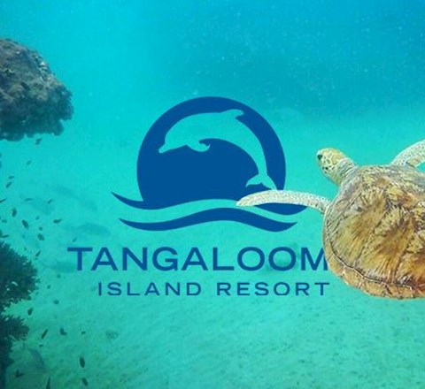 TMECC Photo Showcase | Tangalooma Island Resort Blog & Articles